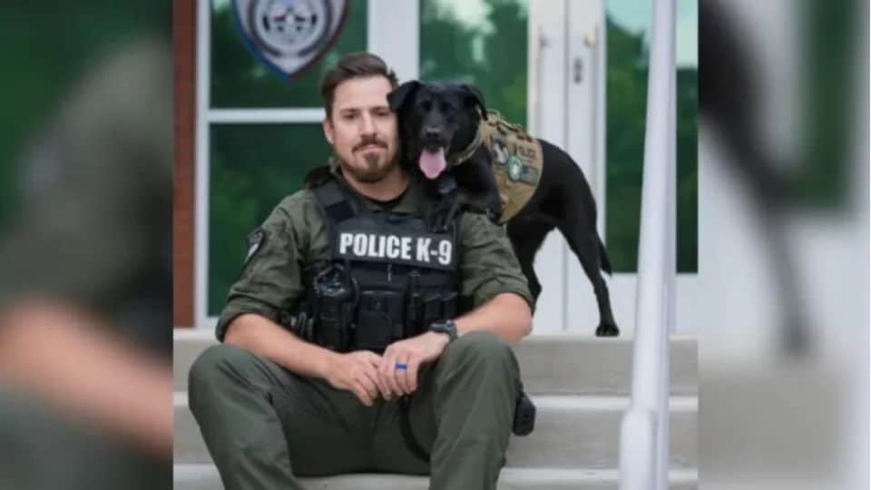 Hero Police Dog Raider Keeps Communities Safe and Shares Her Love With ...