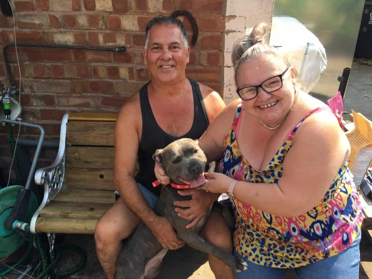 This Lonely Dog Pressed Her Face Through The Bars Hoping For Help ...